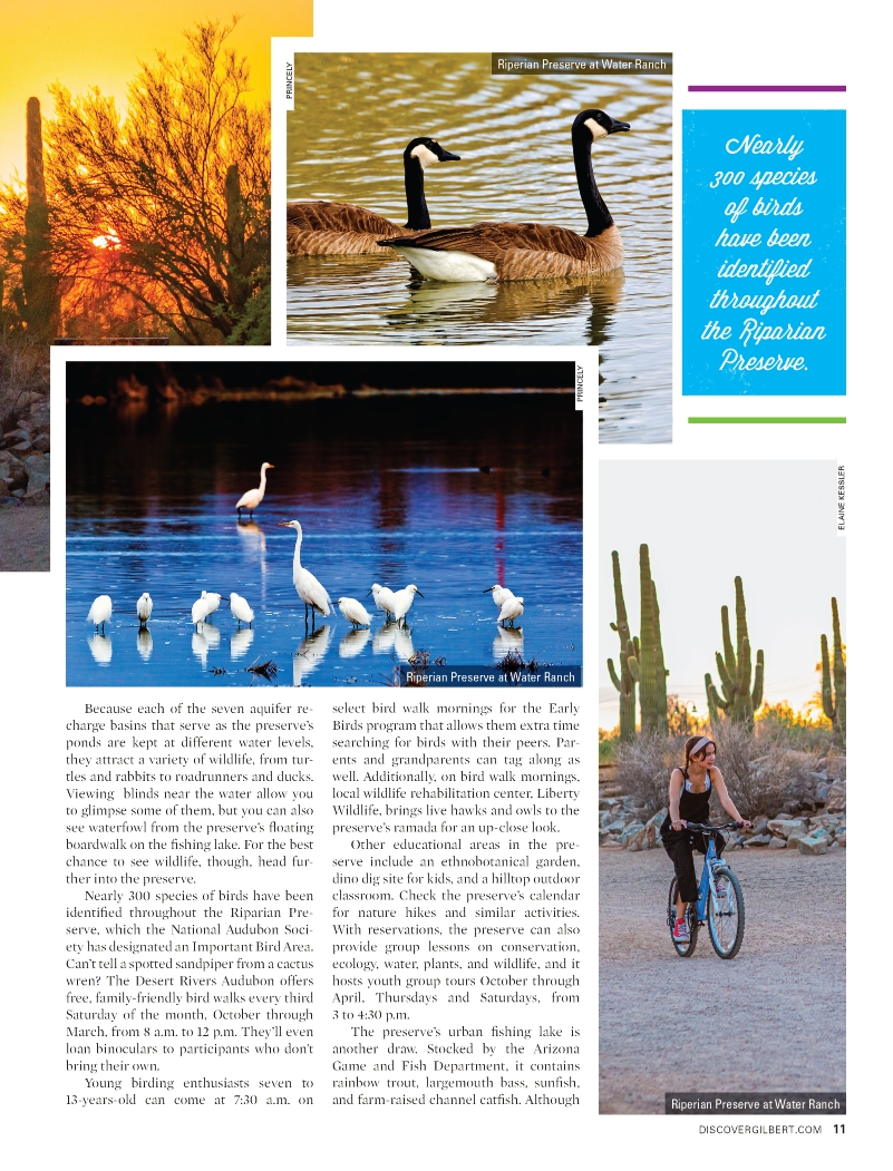 Discover Gilbert Arizona Official Guide 2022-23